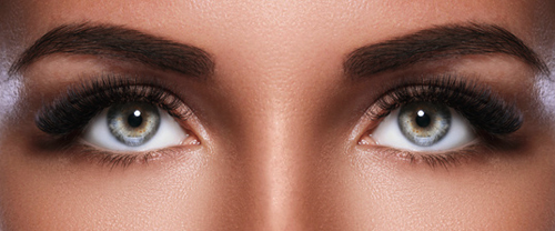 Eyelashes Wellington | Lush Lashes Wellington Lower Hutt